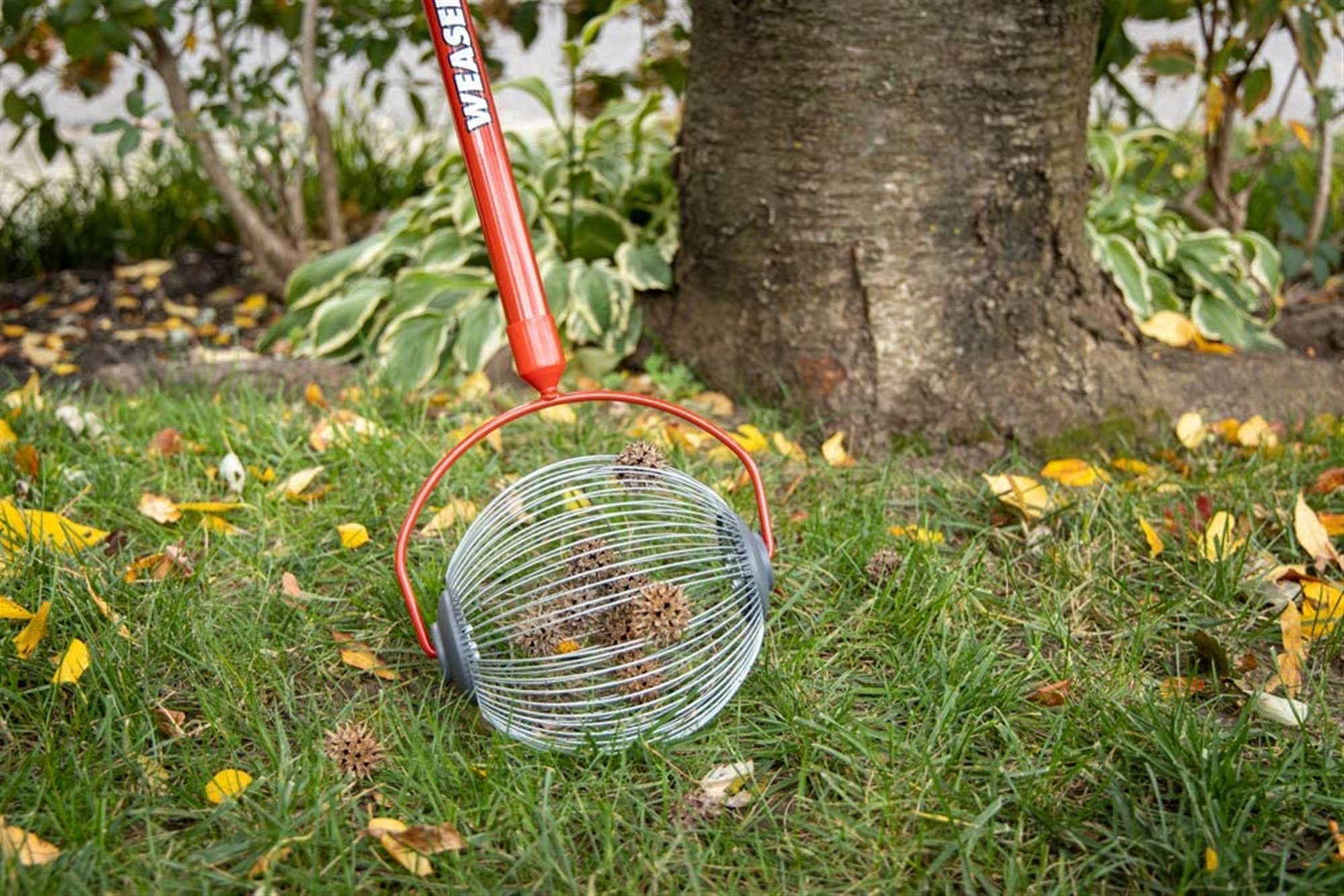 Garden weasel small nut gatherer store